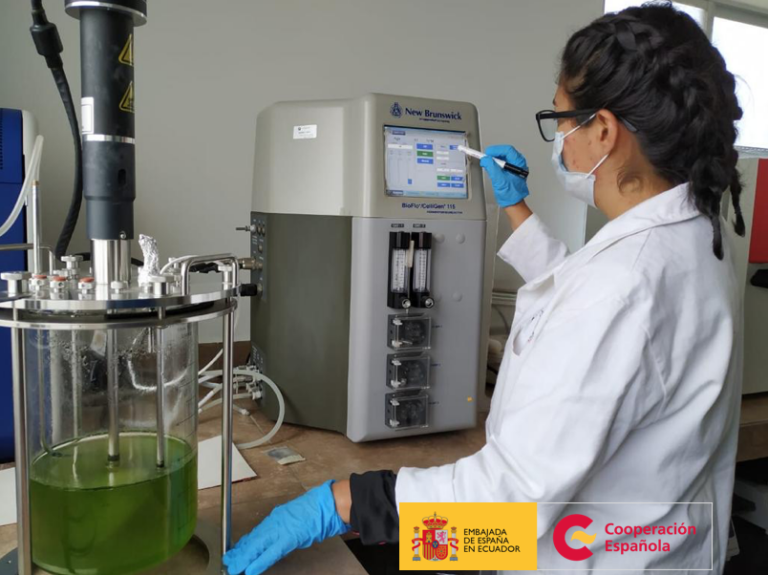 “Estudio de captura de carbono para la producción de biocombustibles a partir de biomasa ...
